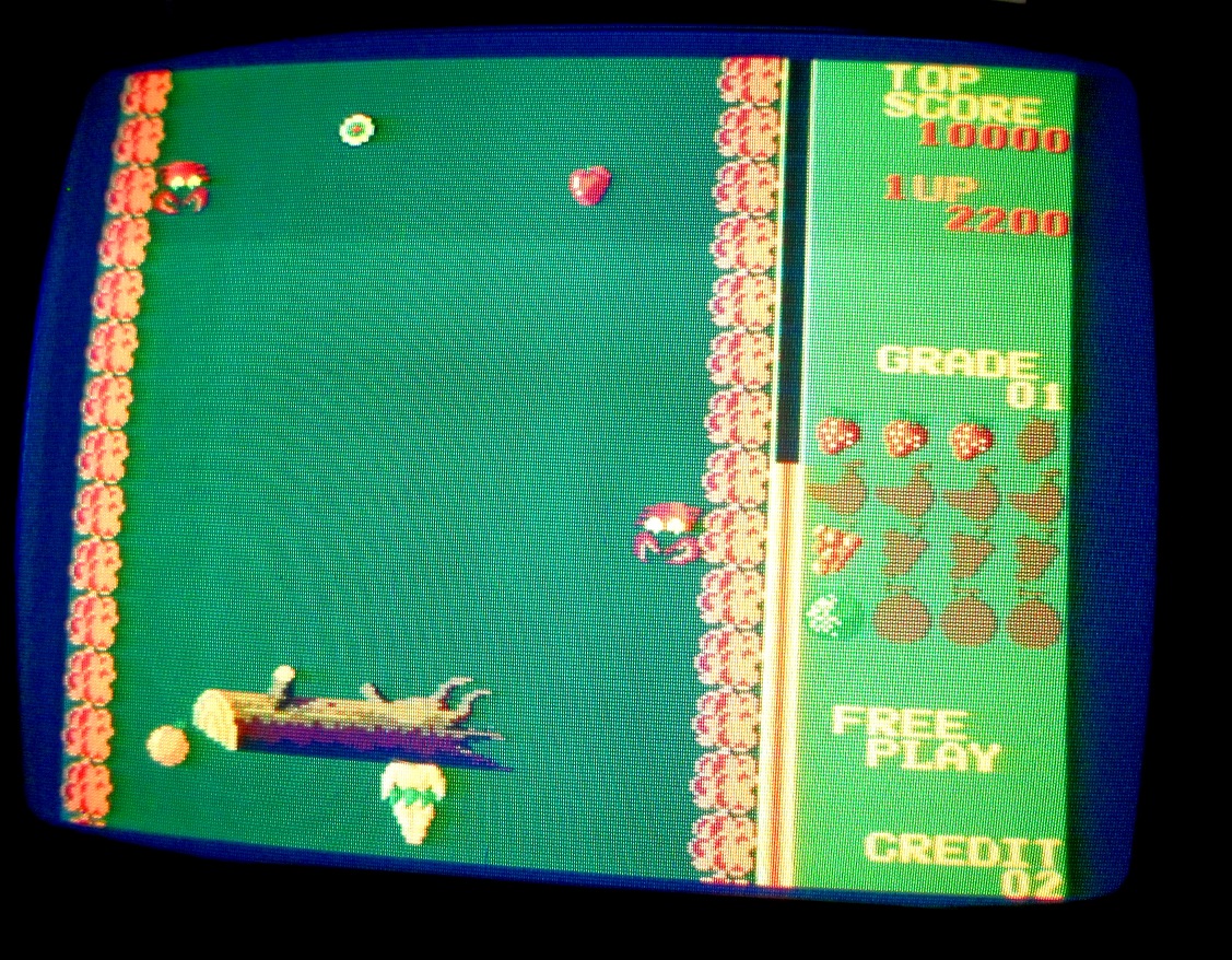 Swimmer Video Arcade Game for Sale | Arcade Specialties Game Rentals